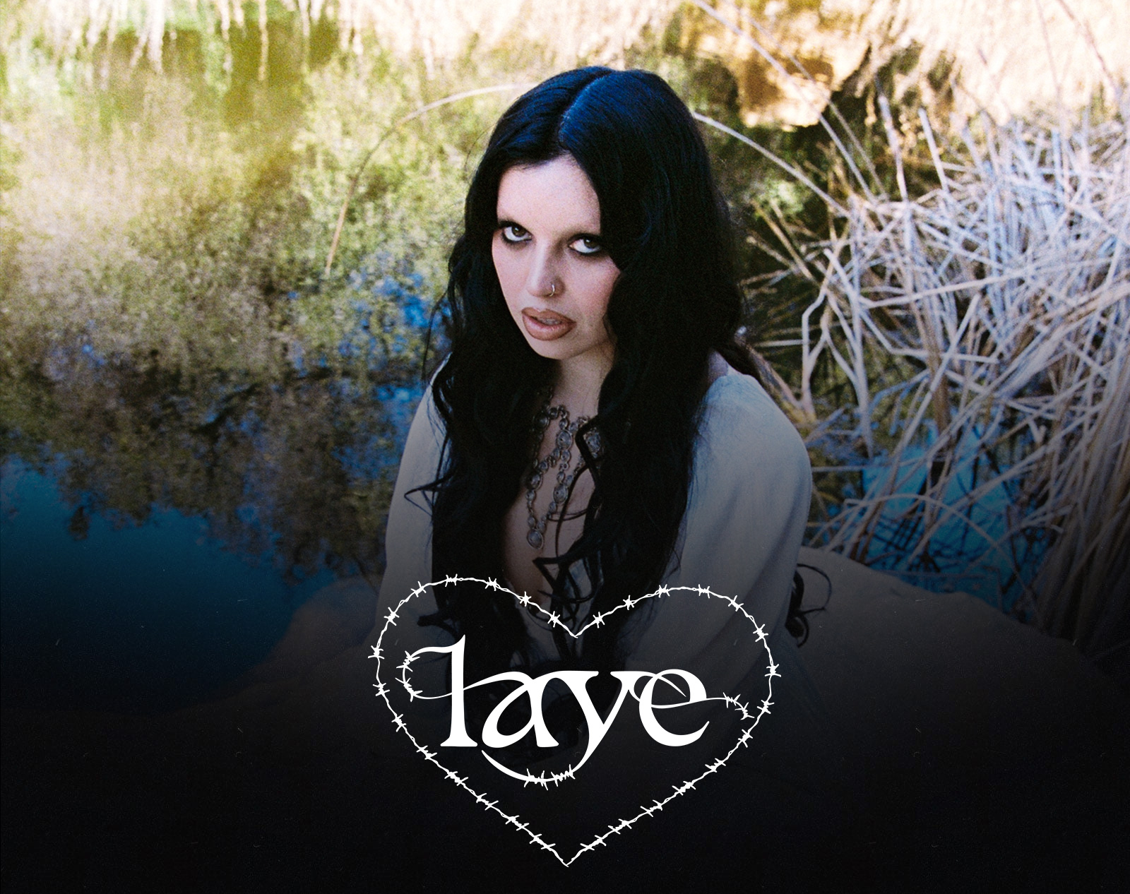 laye Official Website
